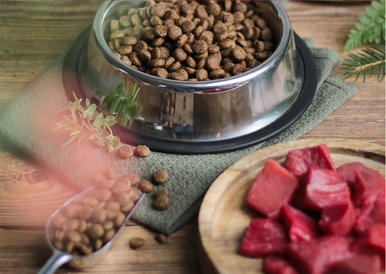 Futtermittelcheck - Welches Futter passt zu deinem Hund? - Toller Hund